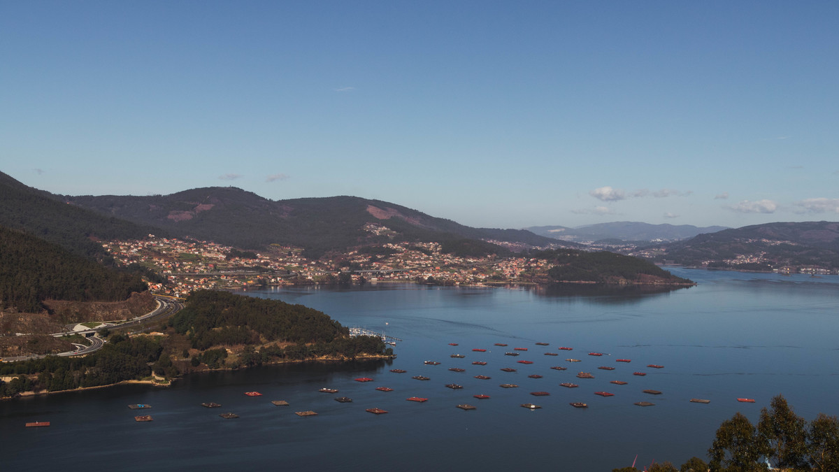 5 Reasons Why Vigo, Spain is the Best Place to Study Abroad and Live ...