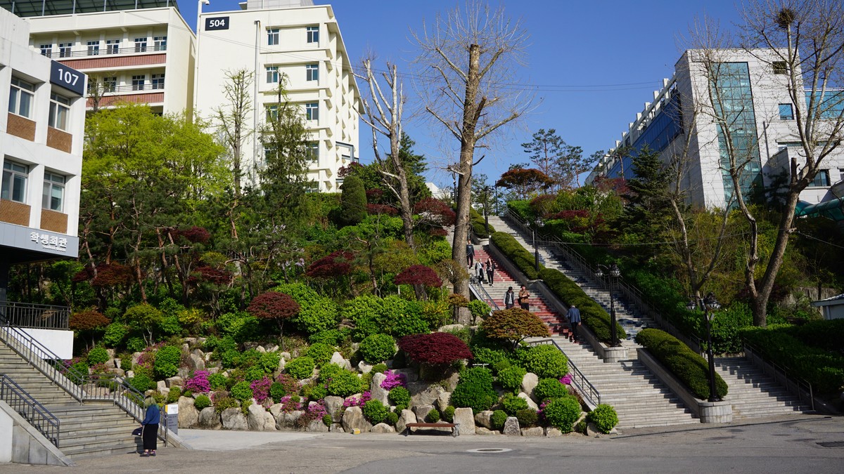 Architecture and Urban Design of Seoul, South Korea | ISEP Study Abroad